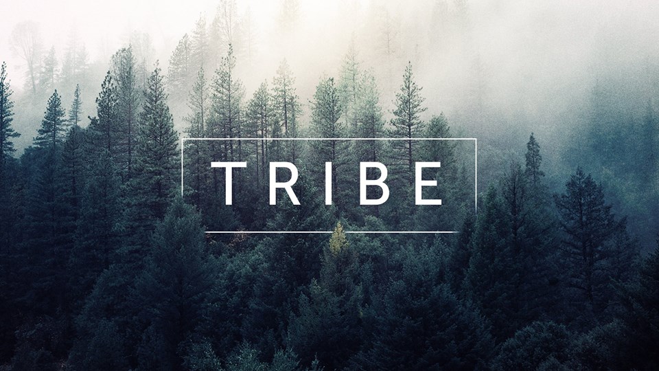 “Tribe” Series | THE RESTORATION COLLECTIVE